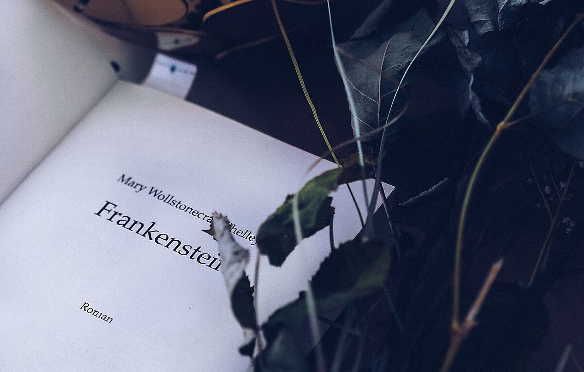 Mary Shelley’s ‘Frankenstein’ (1818) — A Gothic Novel as a Response to ...